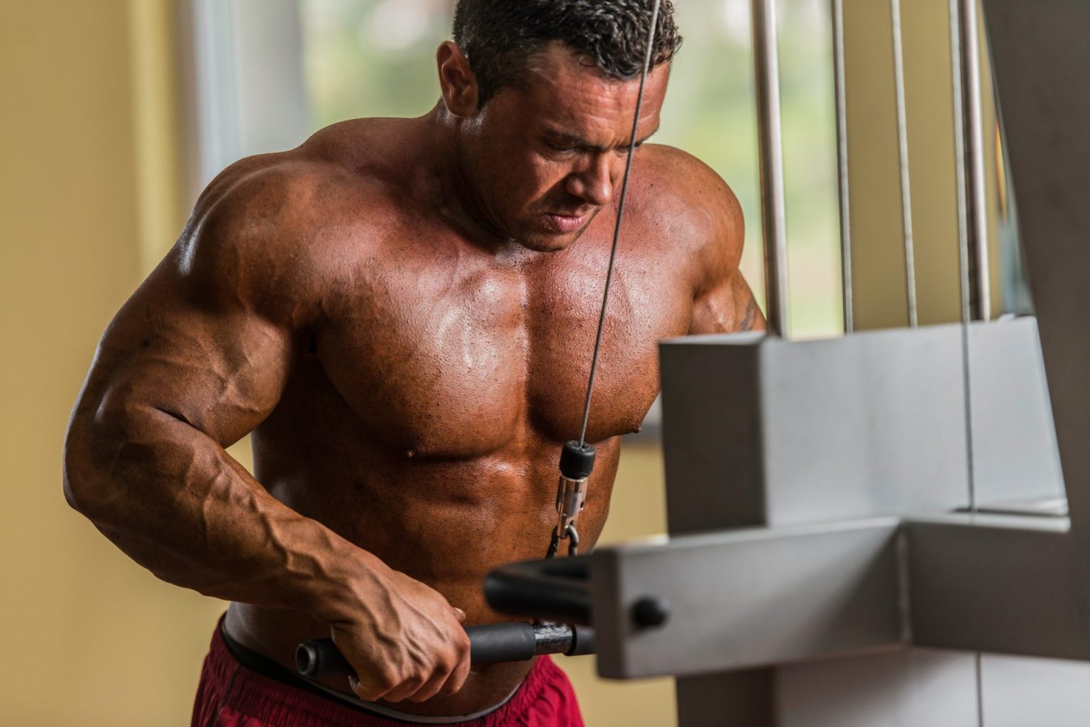 Cable Chest Workout - Try These 8 Exercises (2026) | Baller Circuit